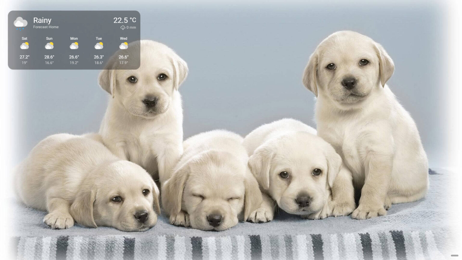 WallPanel: Simple Screensaver for Home Assistant - SmartHomeScene