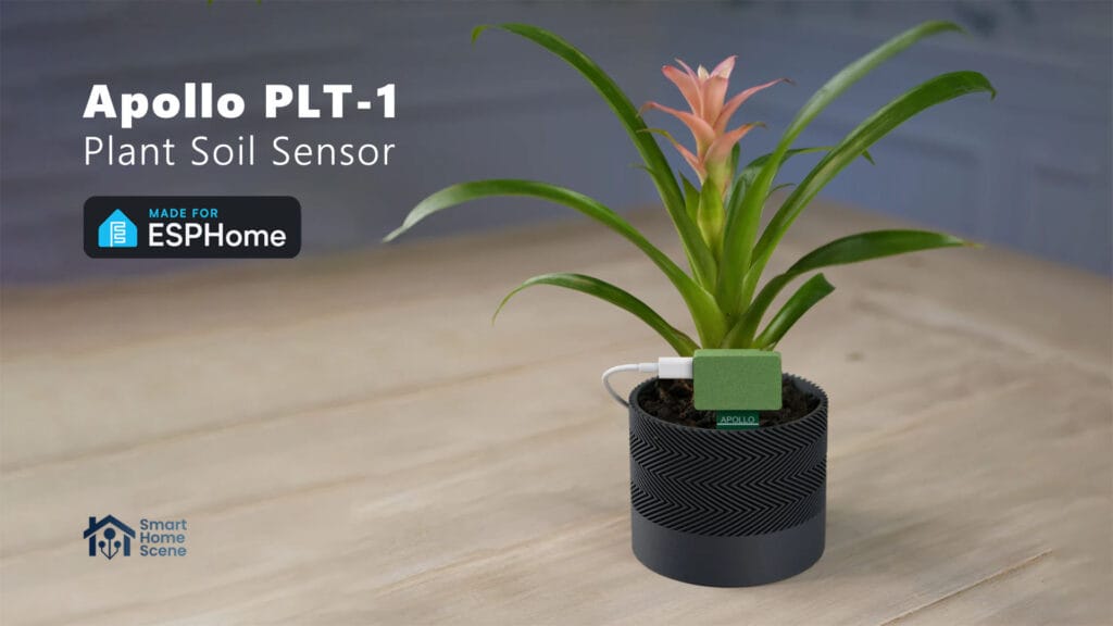Apollo PLT-1 Plant Sensor Review and Setup Guide - SmartHomeScene