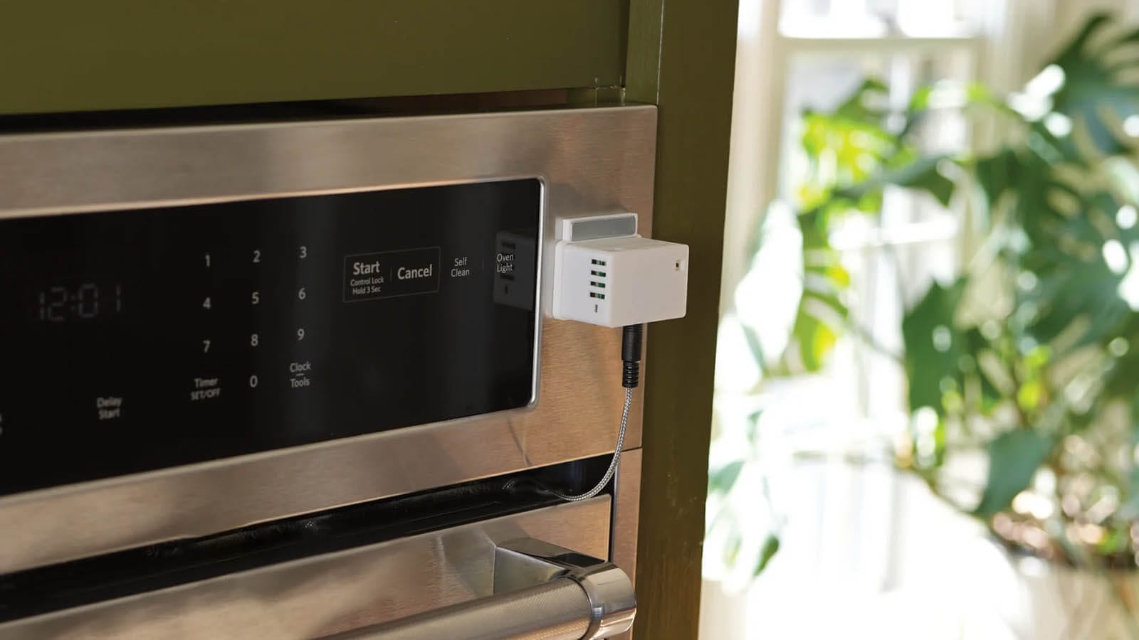 Apollo TEMP-1 Probe Temperature Sensor Review - SmartHomeScene